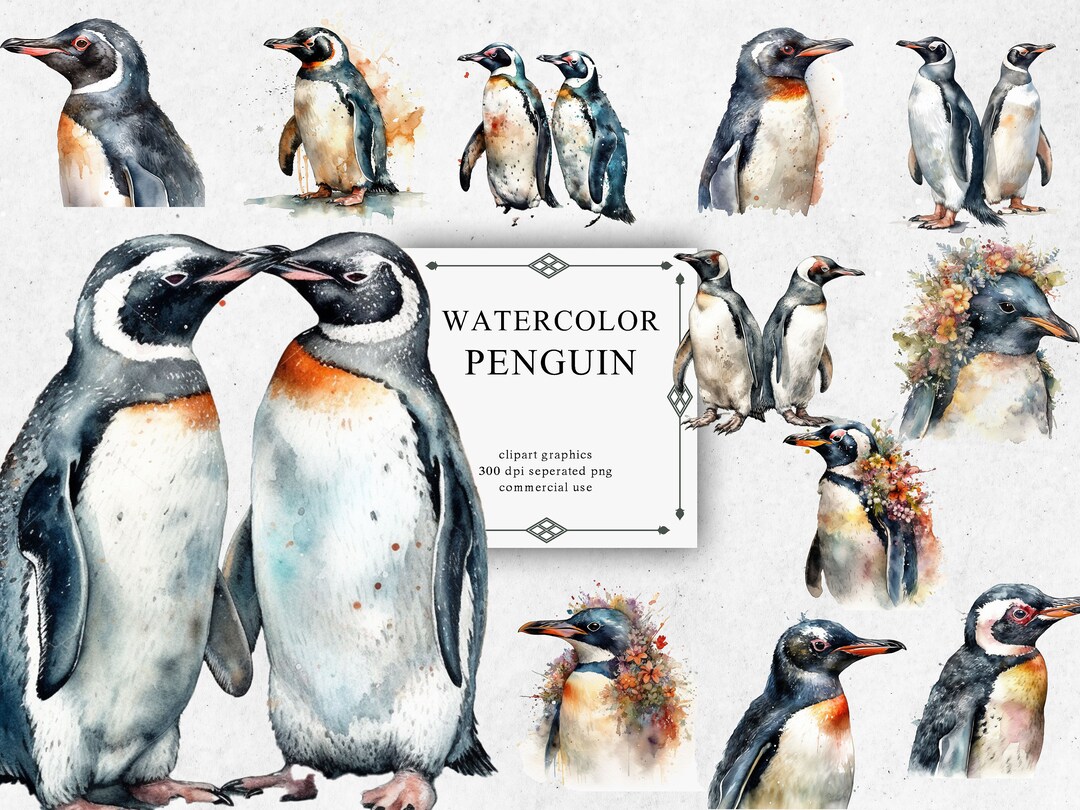 21 Penguin Clipart Set in Transparent PNG - Watercolor Digital Image ...