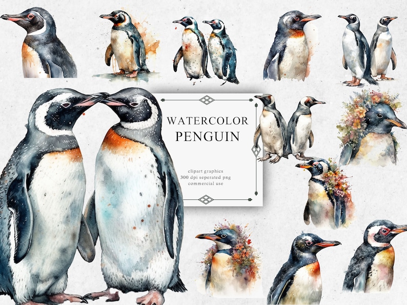 23 Penguin Couples Clipart Set in Transparent PNG - Watercolor Digital ...