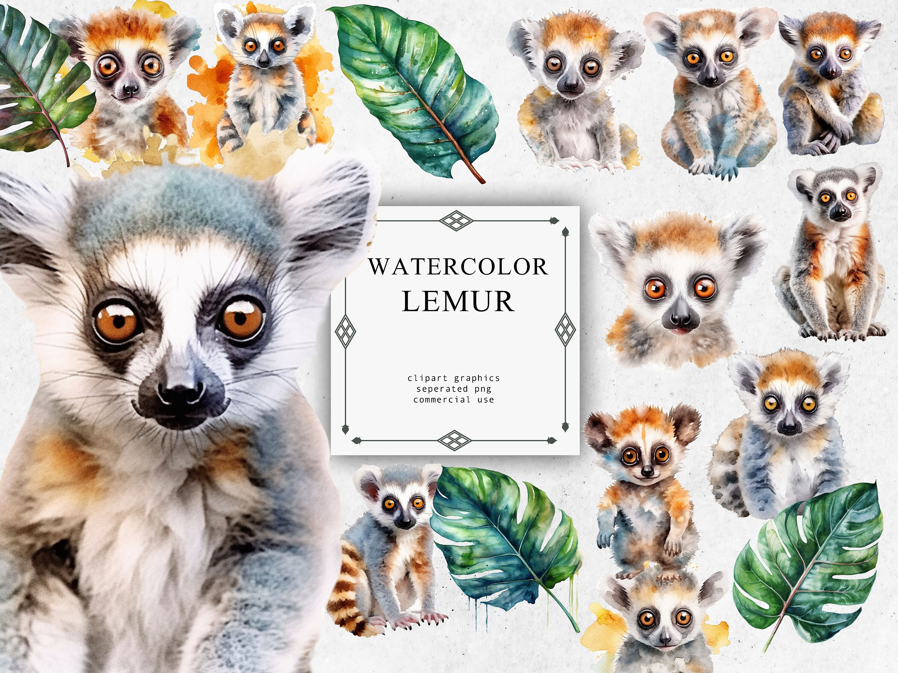 Lemur Clipart Set in Transparent PNG - Lemur Watercolor Digital Image ...