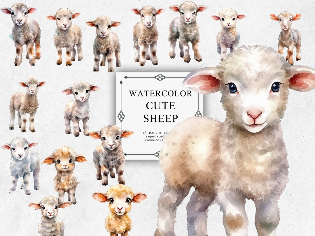 Cute Sheep Clipart Set in Transparent PNG - Cute Sheep Watercolor ...