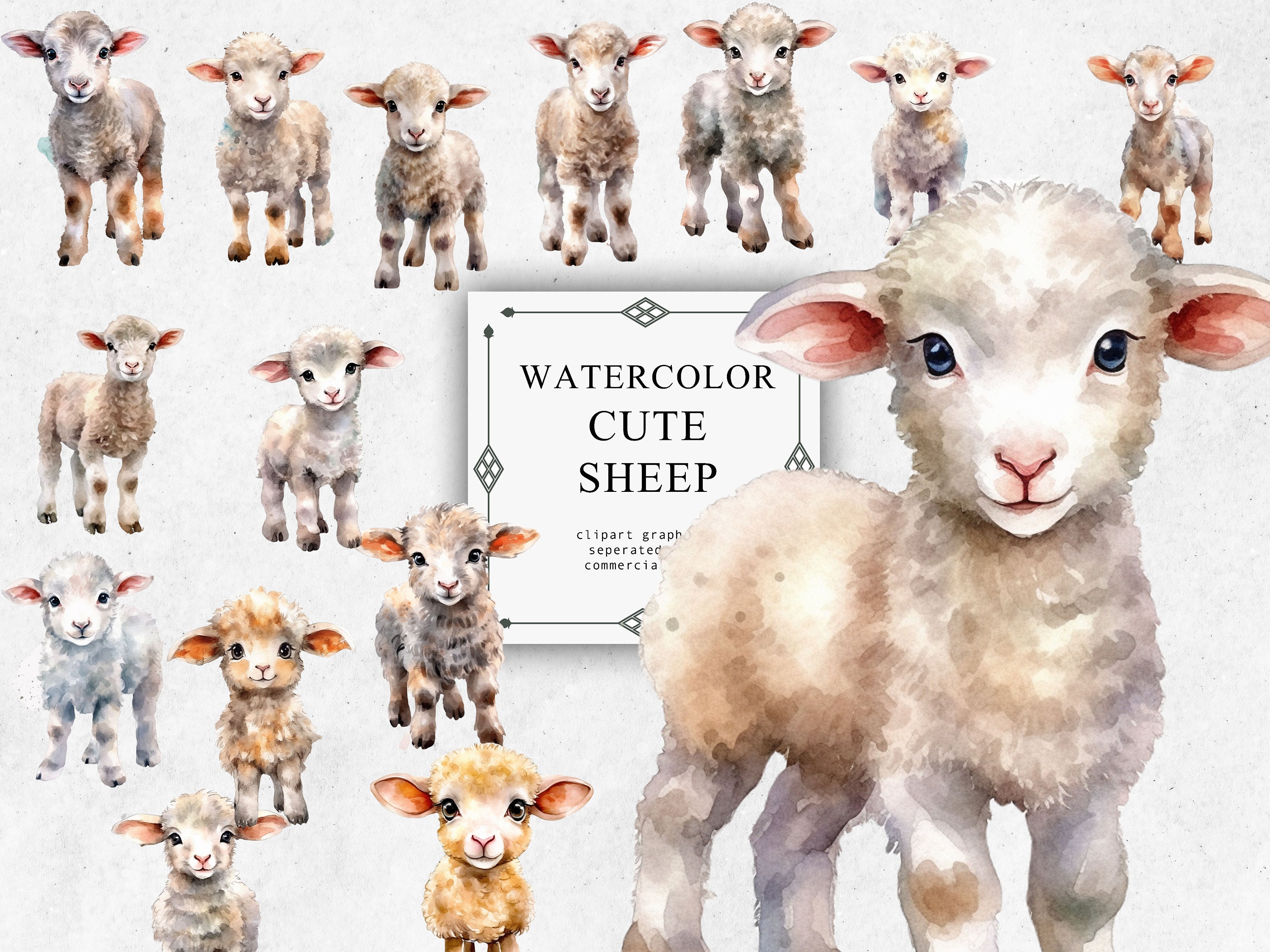 Cute Sheep Clipart Set in Transparent PNG - Cute Sheep Watercolor ...