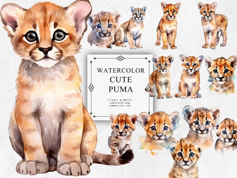 Puma Clipart Set in Transparent PNG - Puma Watercolor Digital Image ...