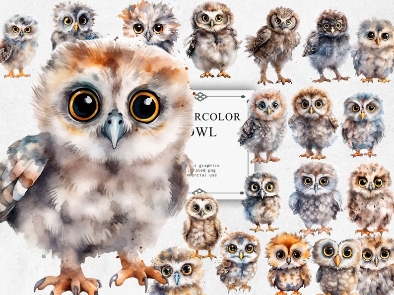 Baby Owl Clipart Set in Transparent PNG Baby Owl Watercolor Digital ...