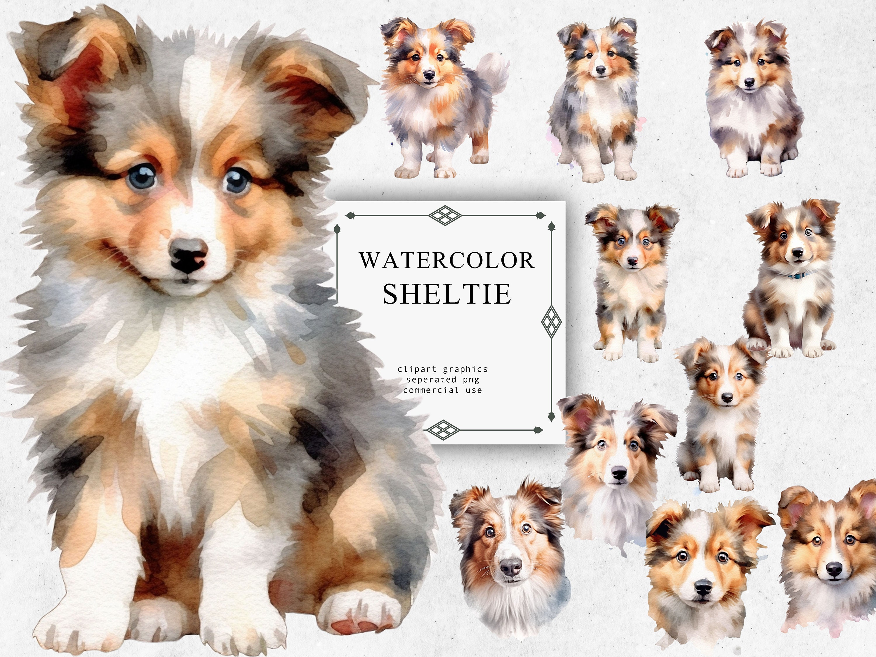 Sheltie Dog Clipart Set in Transparent PNG - Sheltie Dog Watercolor ...