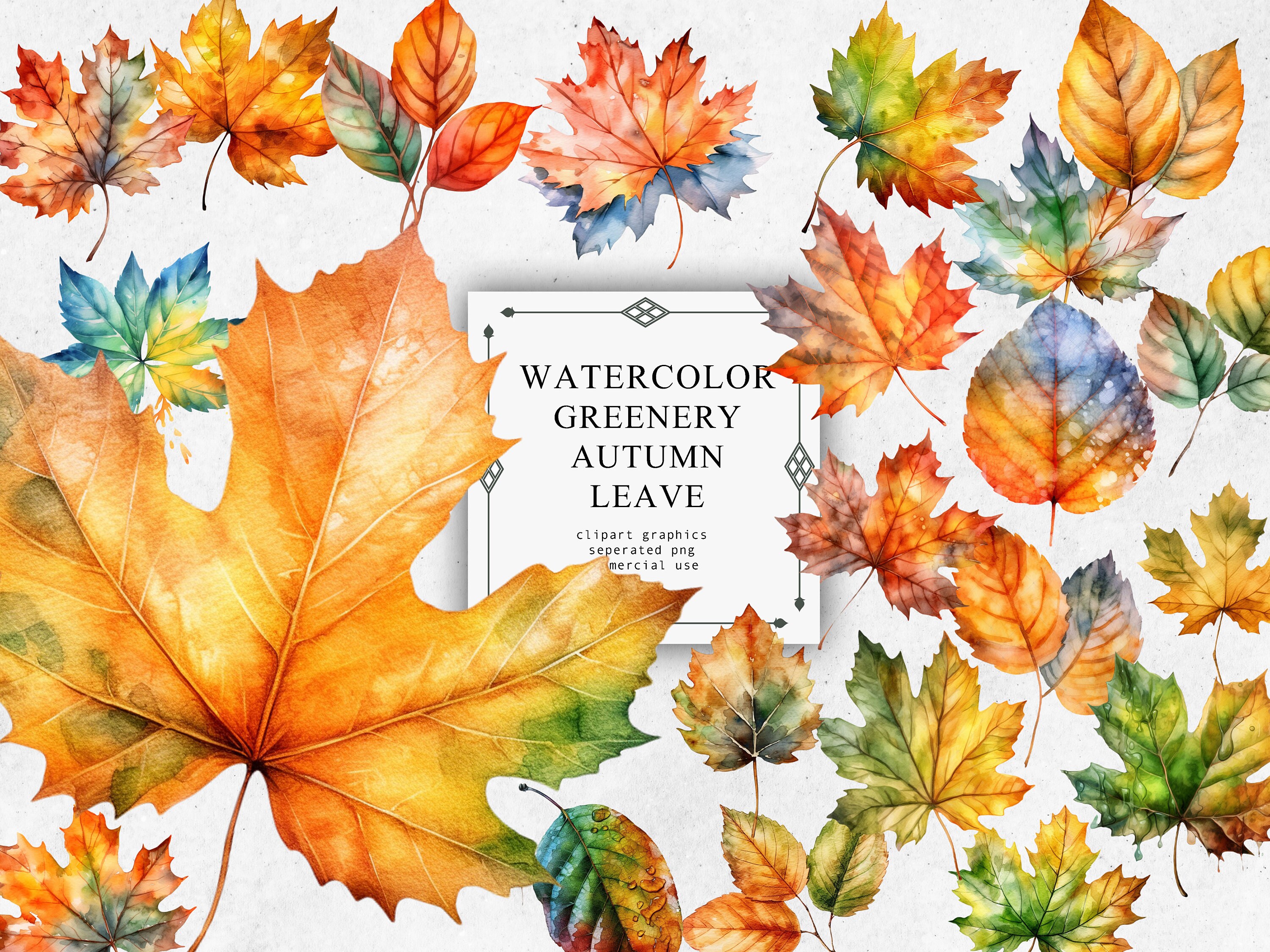 Autumn Leaves Clipart Set in Transparent PNG - Autumn Leaves Watercolor ...