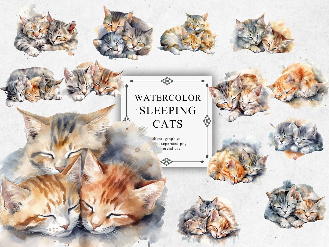 16 Sleeping Cats Clipart Set in Transparent PNG - Sleeping Cats ...