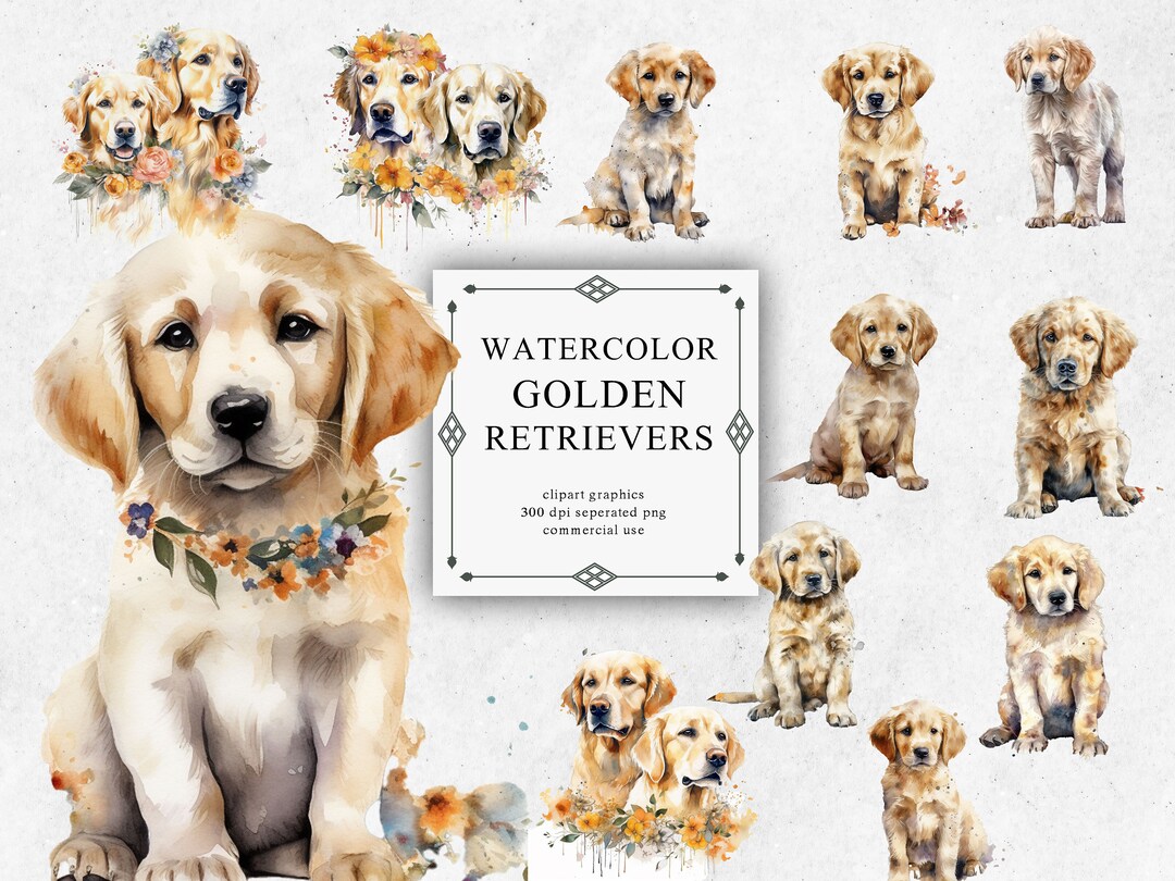 13 Watercolor Golden Retriever Clipart - Digital PNG Golden Retriever ...