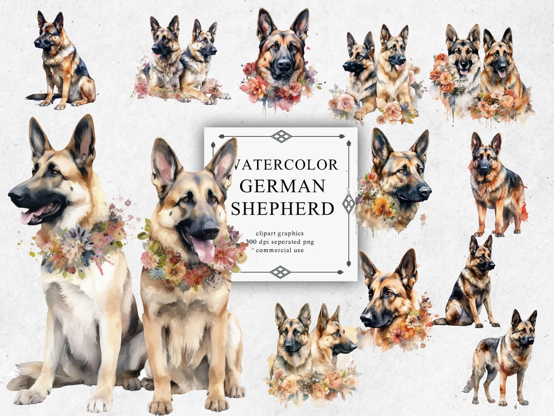 20 Watercolor German Shepherd Clipart - Digital PNG German Shepherd ...