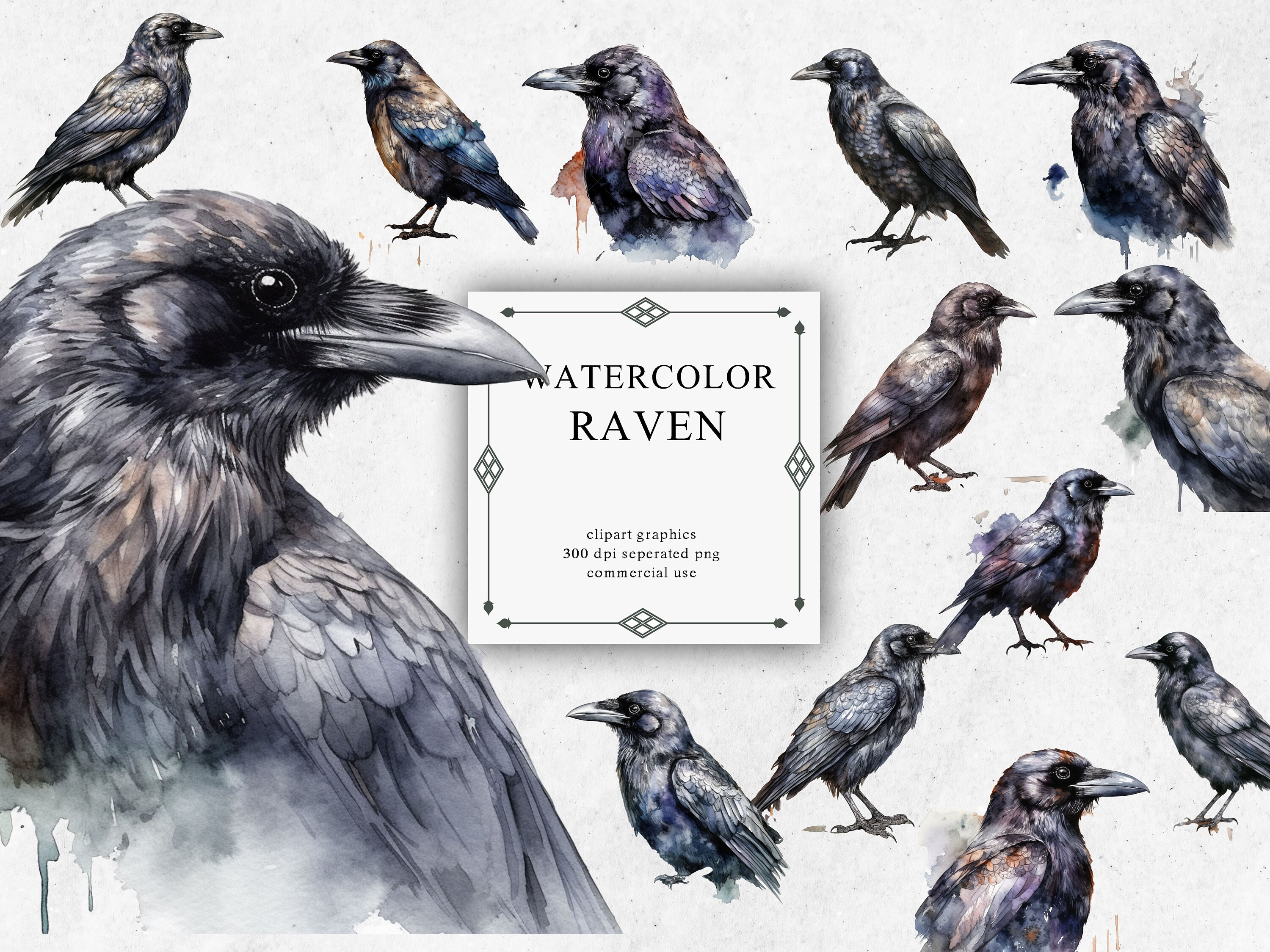 12 Raven Clipart Set in Transparent PNG - Raven Watercolor Digital ...