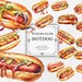 20 Hot Dog Clipart Set in Transparent PNG - Hotdog Watercolor Digital ...