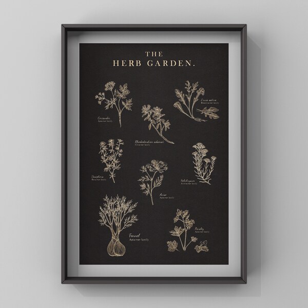 Herb Poster - Etsy