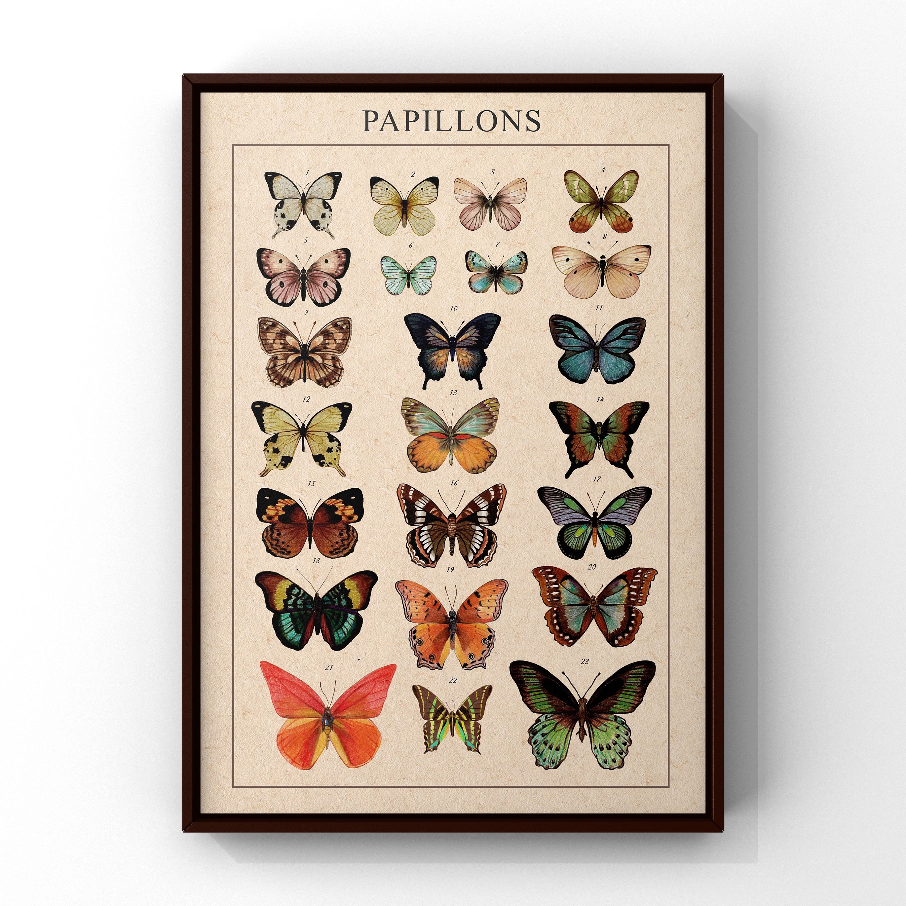 Butterfly Poster Printable Hand-drawn Beige Monarch - Etsy