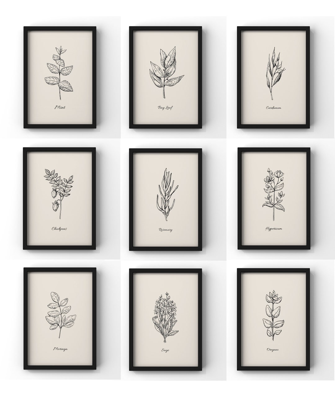 Set of 11 Herb Prints, Kitchen Printable Art, Botanical Print, Kitchen ...