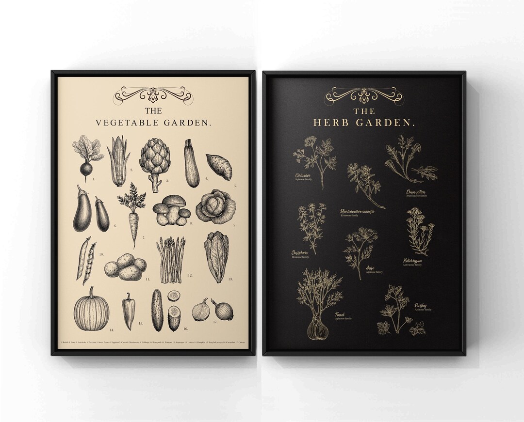 Herb & Vegetable Garden Poster Set: Botanical Kitchen Art (digital ...