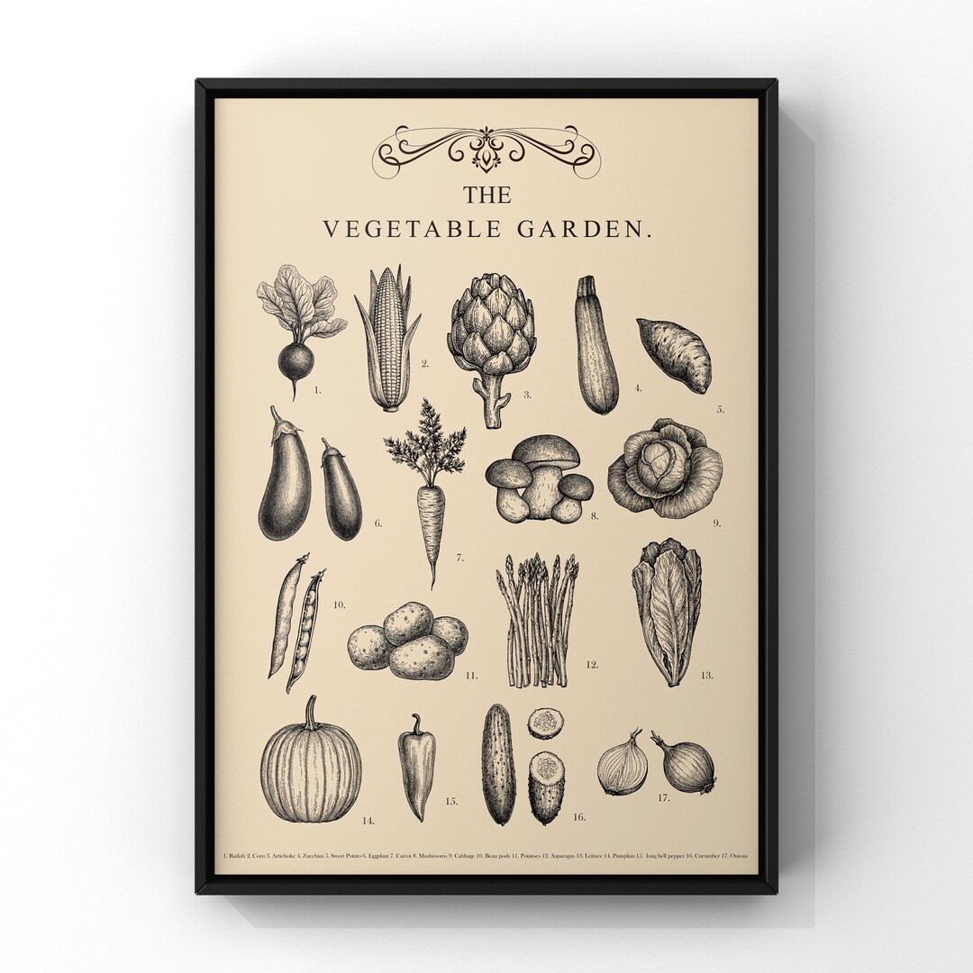 Vegetable Garden Poster, Kitchen Wall Art Set, Kitchen Art, Wall Decor ...