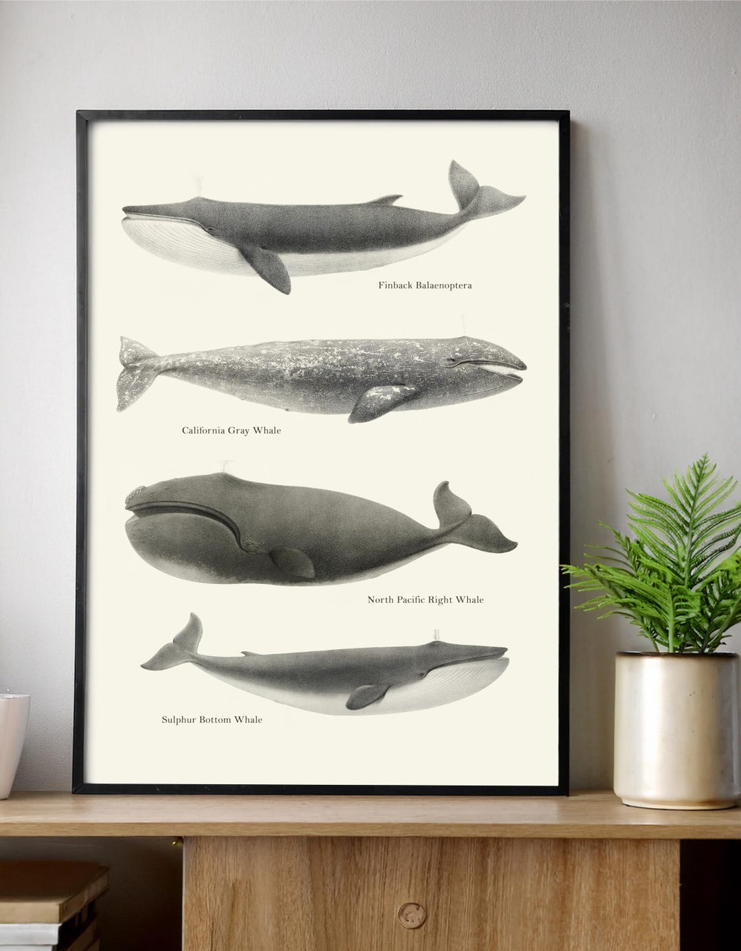 Vintage Whale Poster, Ocean Art Print, Whale Art, Maritime Living ...