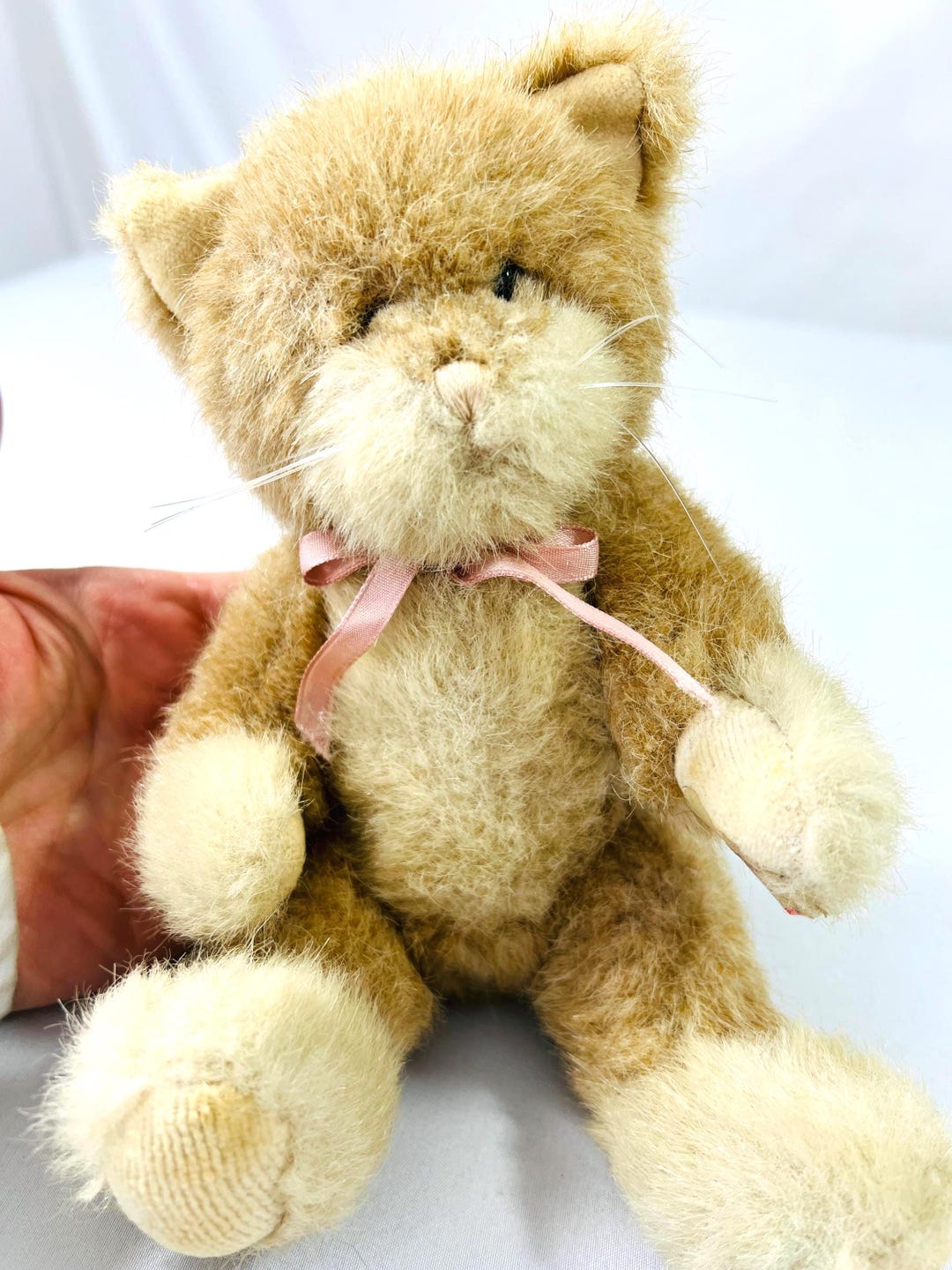 Thoreau Cat Boyd's Bears the Archive Collection 8" (3675) - Etsy