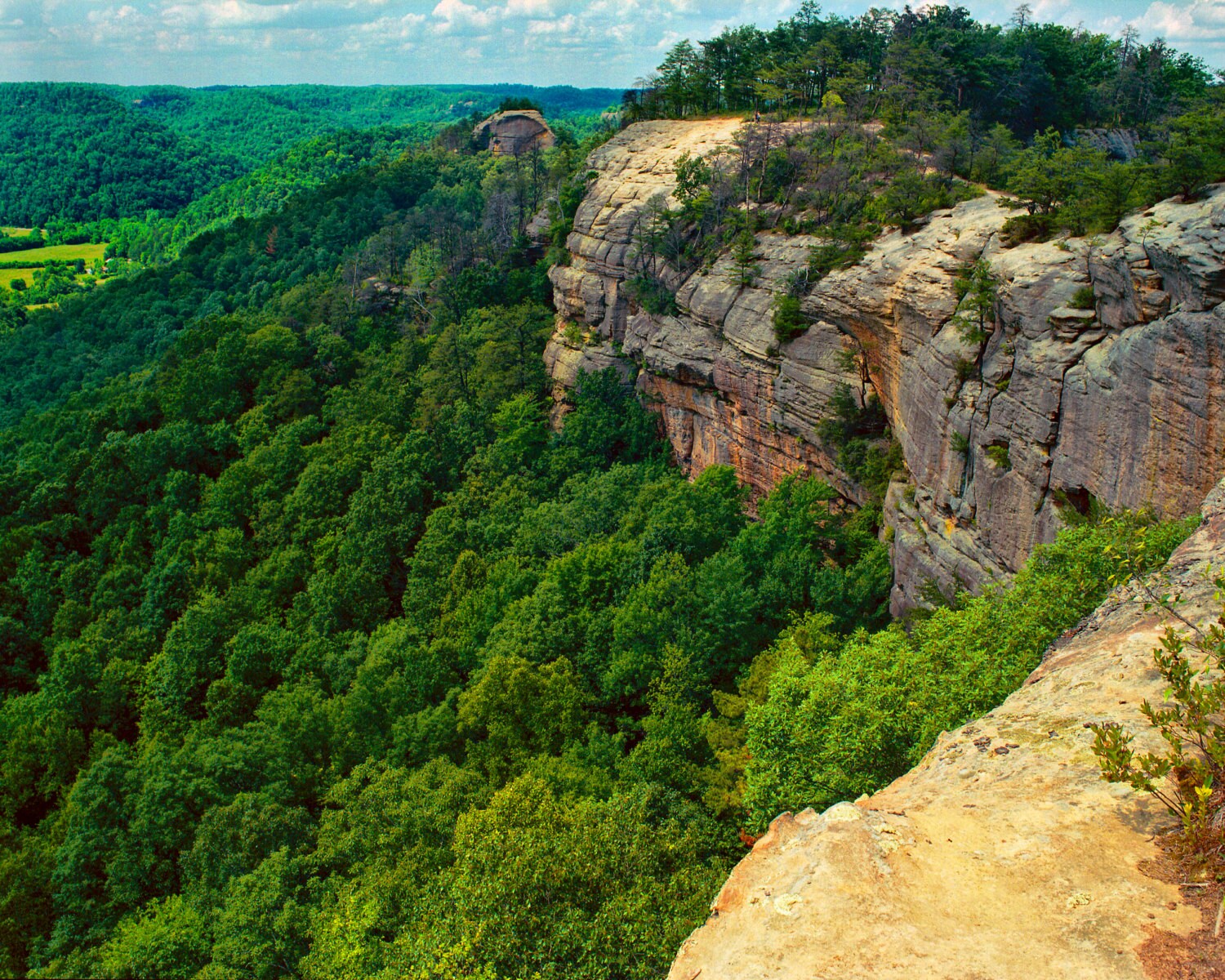 Auxier Ridge in the Gorge - Etsy