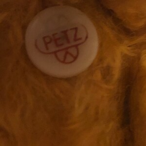 Vintage 30’s PETZ Germany Wire Jointed Glass Eye 5” Golden Mohair Teddy ...