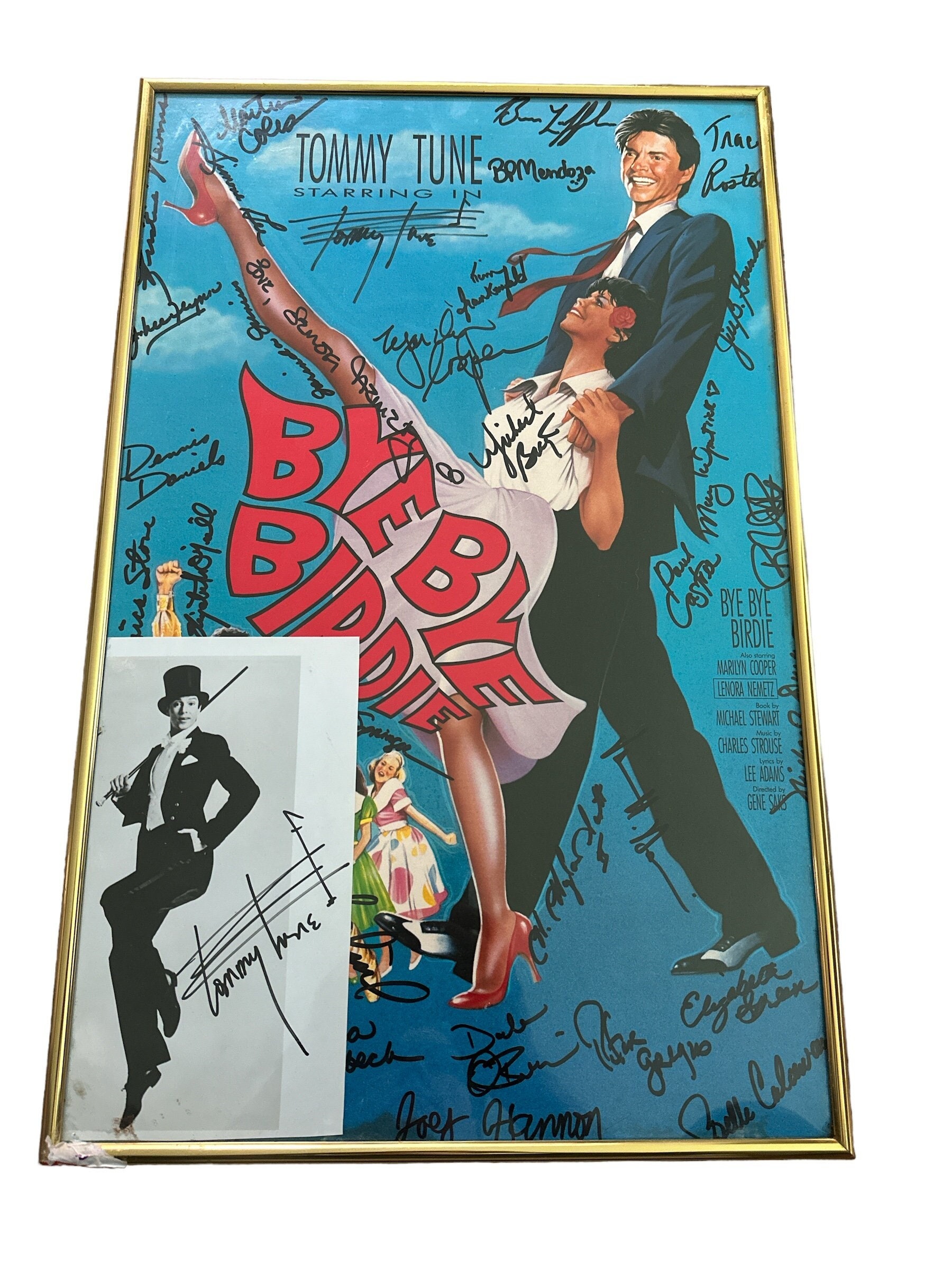 Bye Bye Birdie Movie Poster