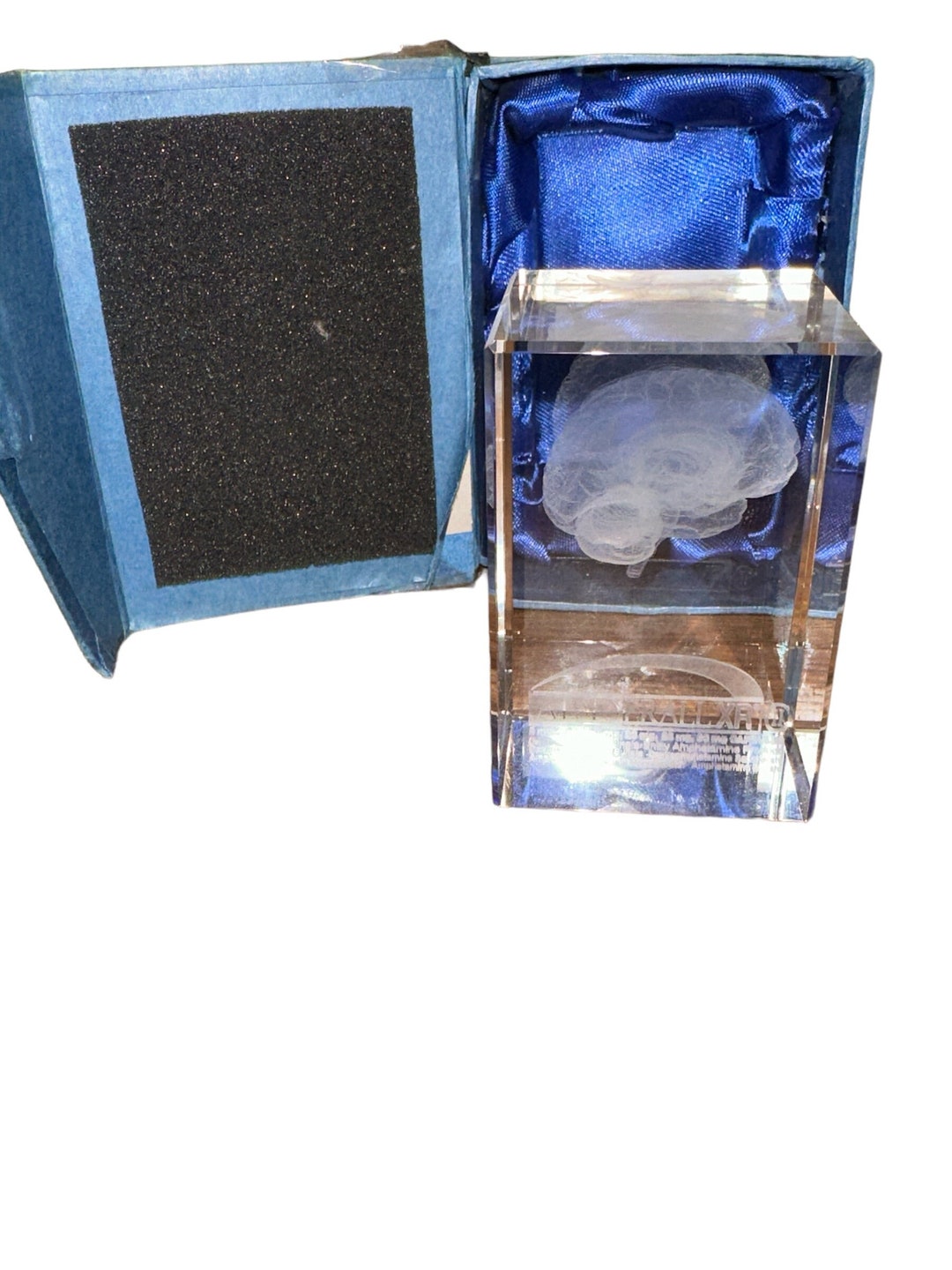 Vintage Rare Aderall XR 3D Laser Etched Brain Clear Block Paperweight ...
