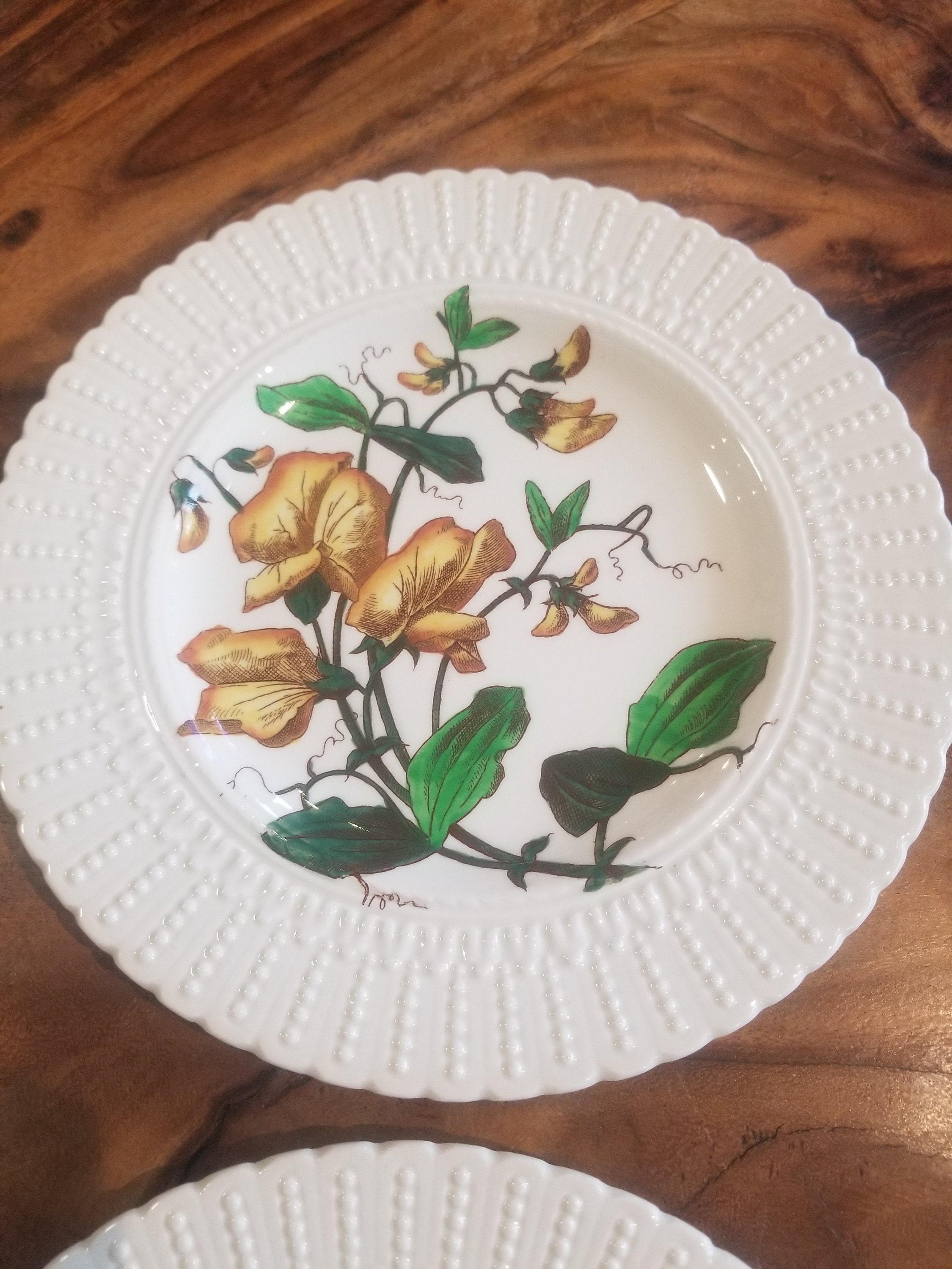 Vintage Ceramic Cauldron England Botanical Luncheon Plates - Etsy