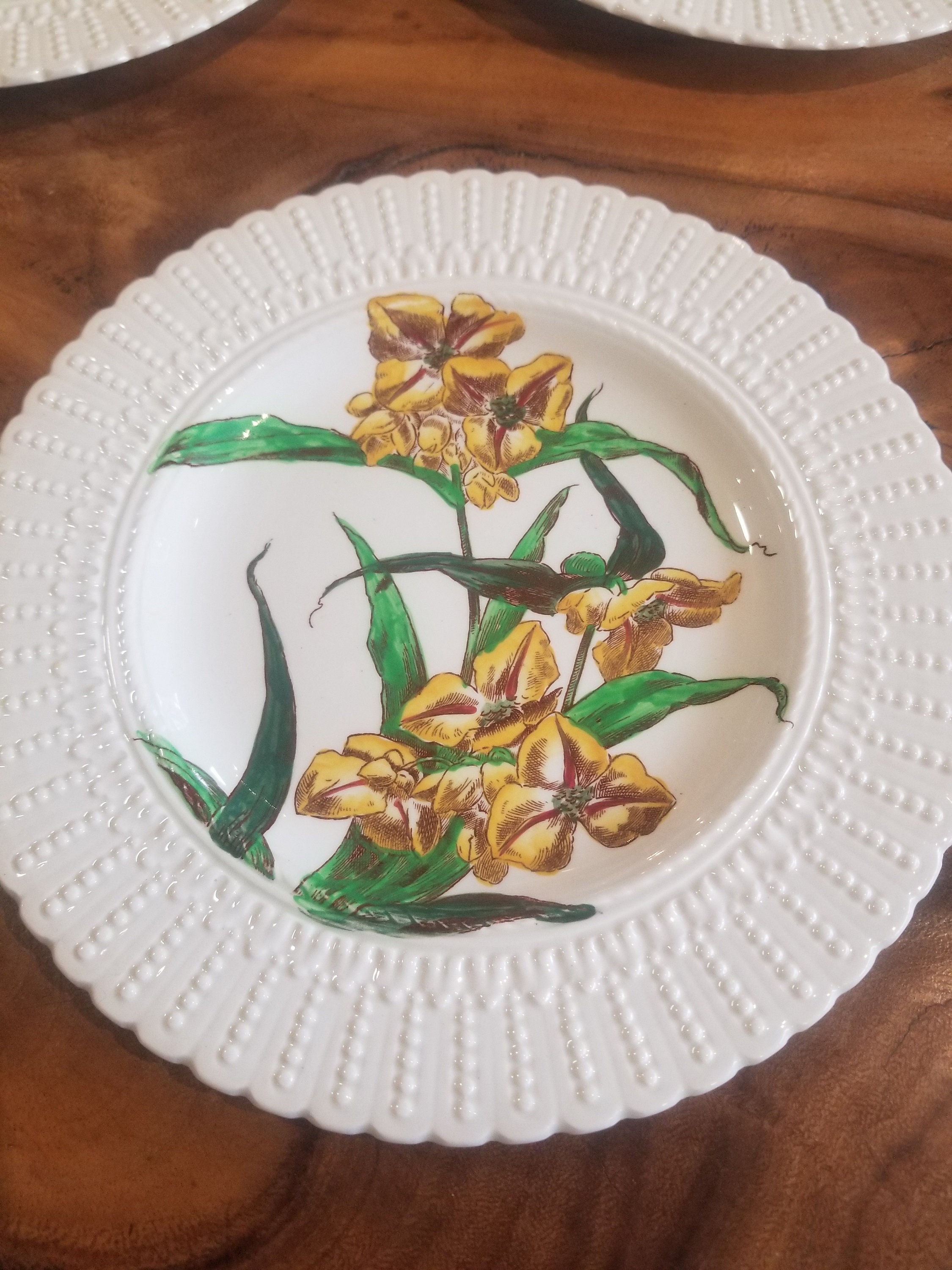 Vintage Ceramic Cauldron England Botanical Luncheon Plates - Etsy