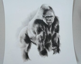 Silverback Drawing - Etsy