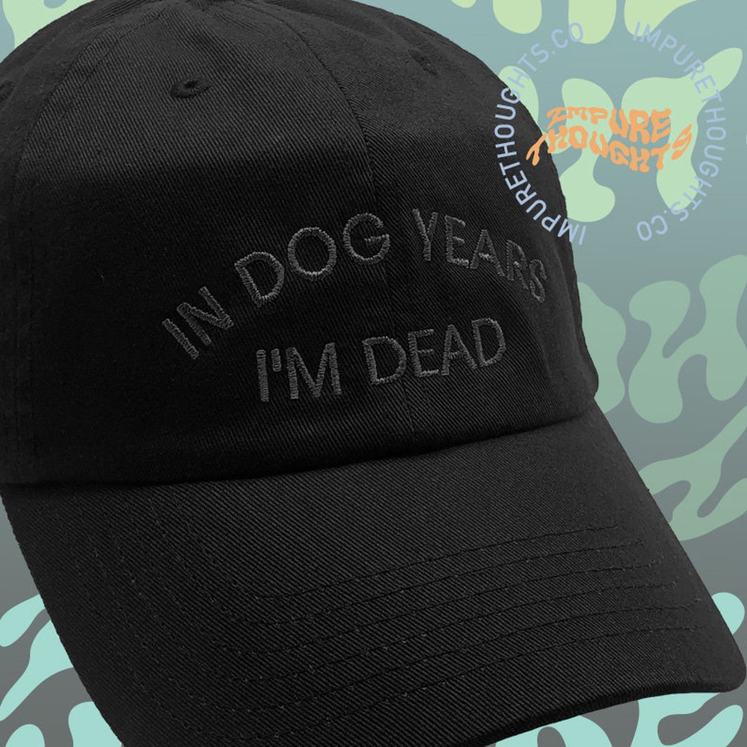 In Dog Years I'm Dead Dad Hat Embroidered Baseball Black Cap Low ...