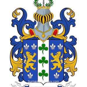 Personalized Family Crest: Custom Coat of Arms (PDF, JPG, PNG) - Etsy