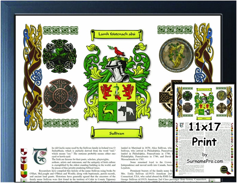 Irish Surname History and Family Crest Coat of Arms | Etsy