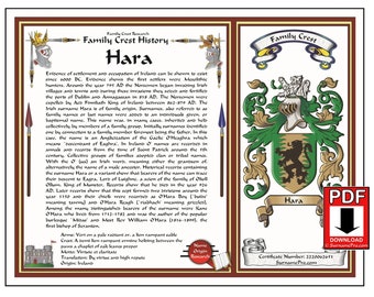 Wilkins Family Crest Print - Etsy