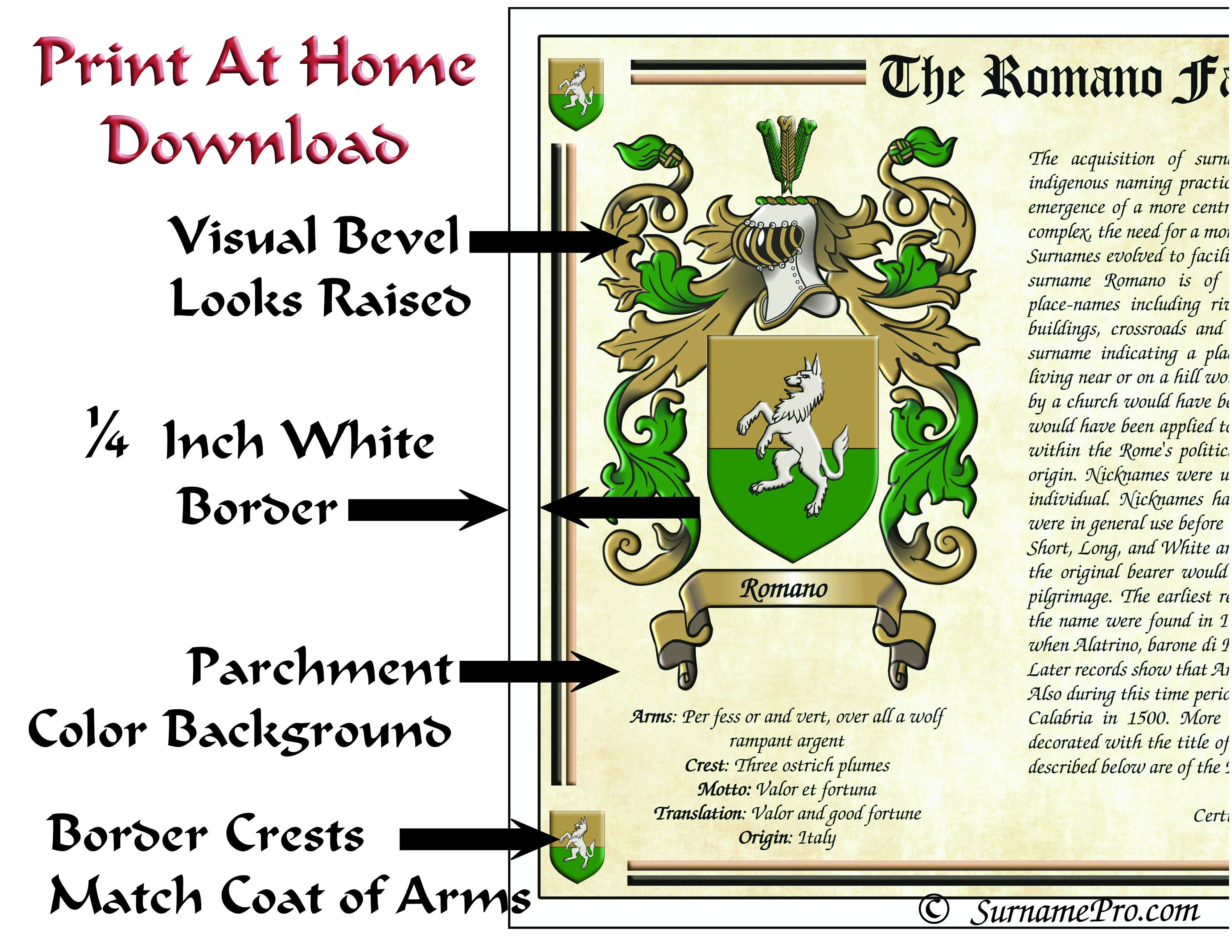 Family Name Origin Crest & Coat of Arms: Surname History (PDF Download ...
