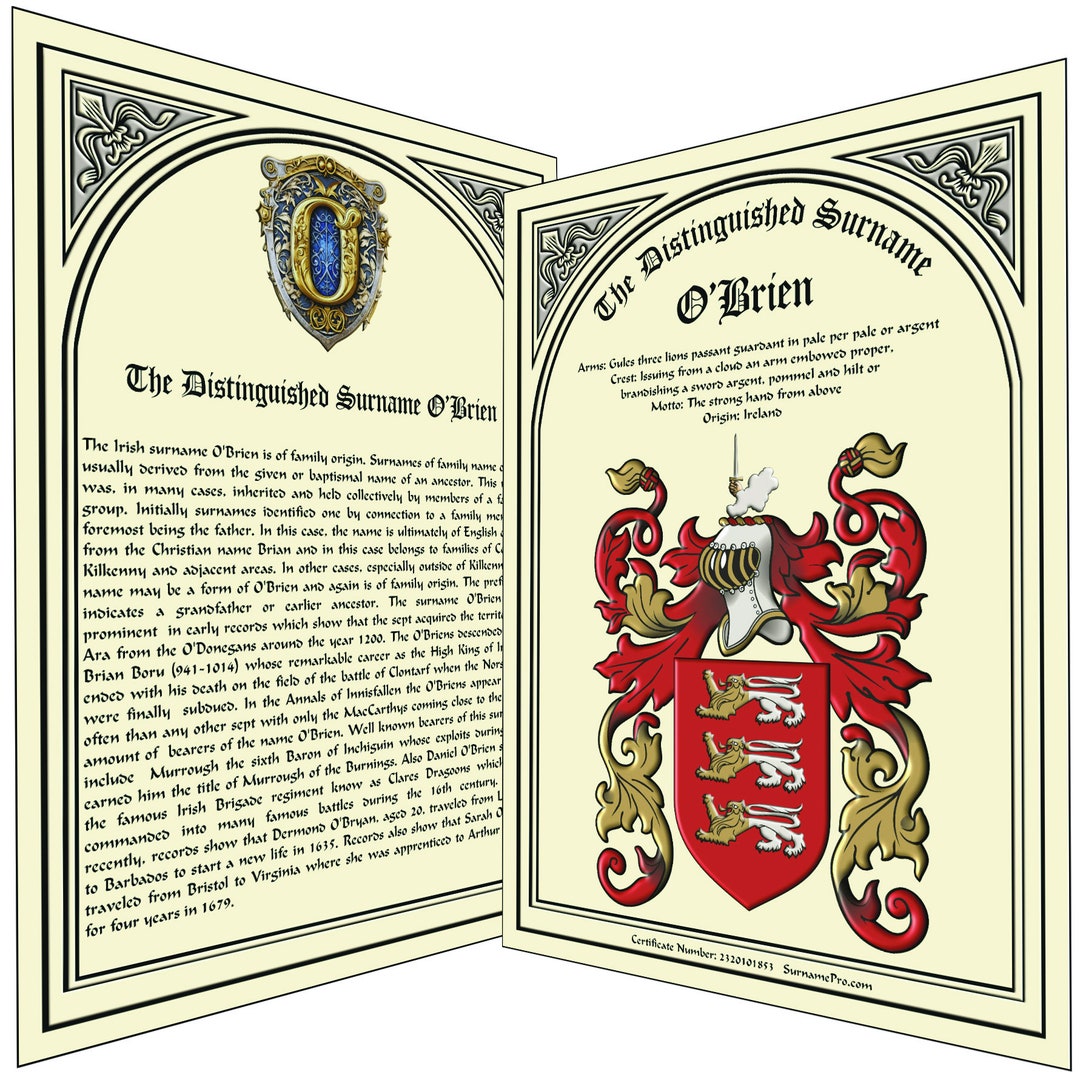 Family Name Coat of Arms: Personalized Heraldry Art Print - Etsy