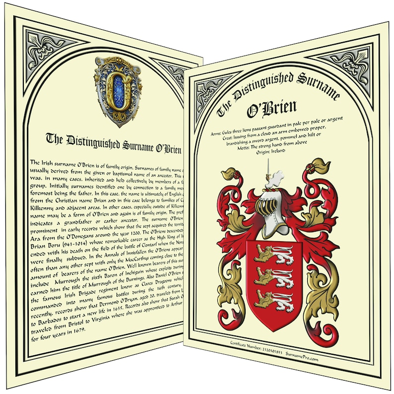 Family Name Coat of Arms: Personalized Heraldry Art Print - Etsy