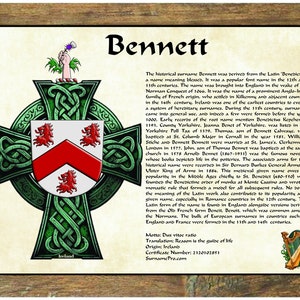 Irish Family Name Coat of Arms Print: Surname History - Etsy