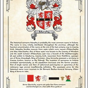Custom Surname Coat of Arms With History (digital PDF) - Etsy