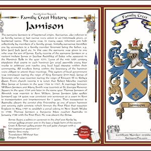Surname Origin & Family Crest History (digital Download) - Etsy