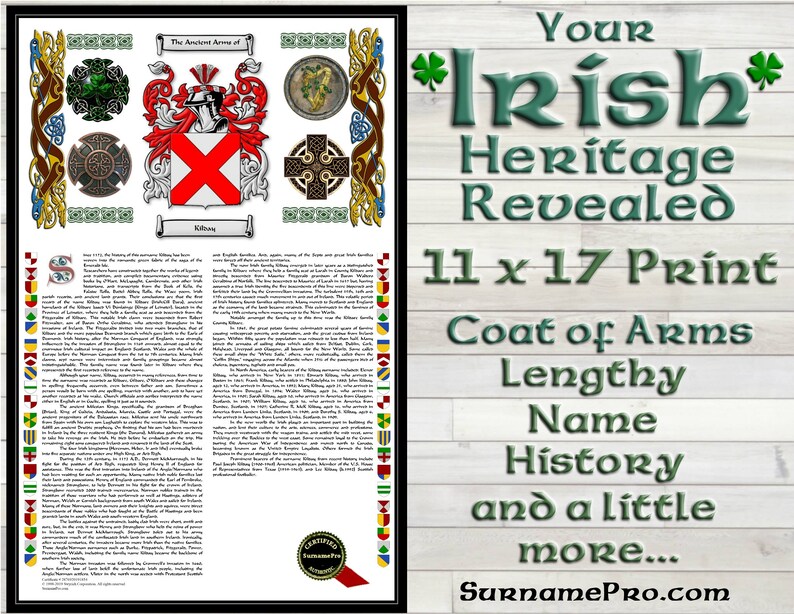 Irish Surname History and Family Crest Coat of Arms | Etsy