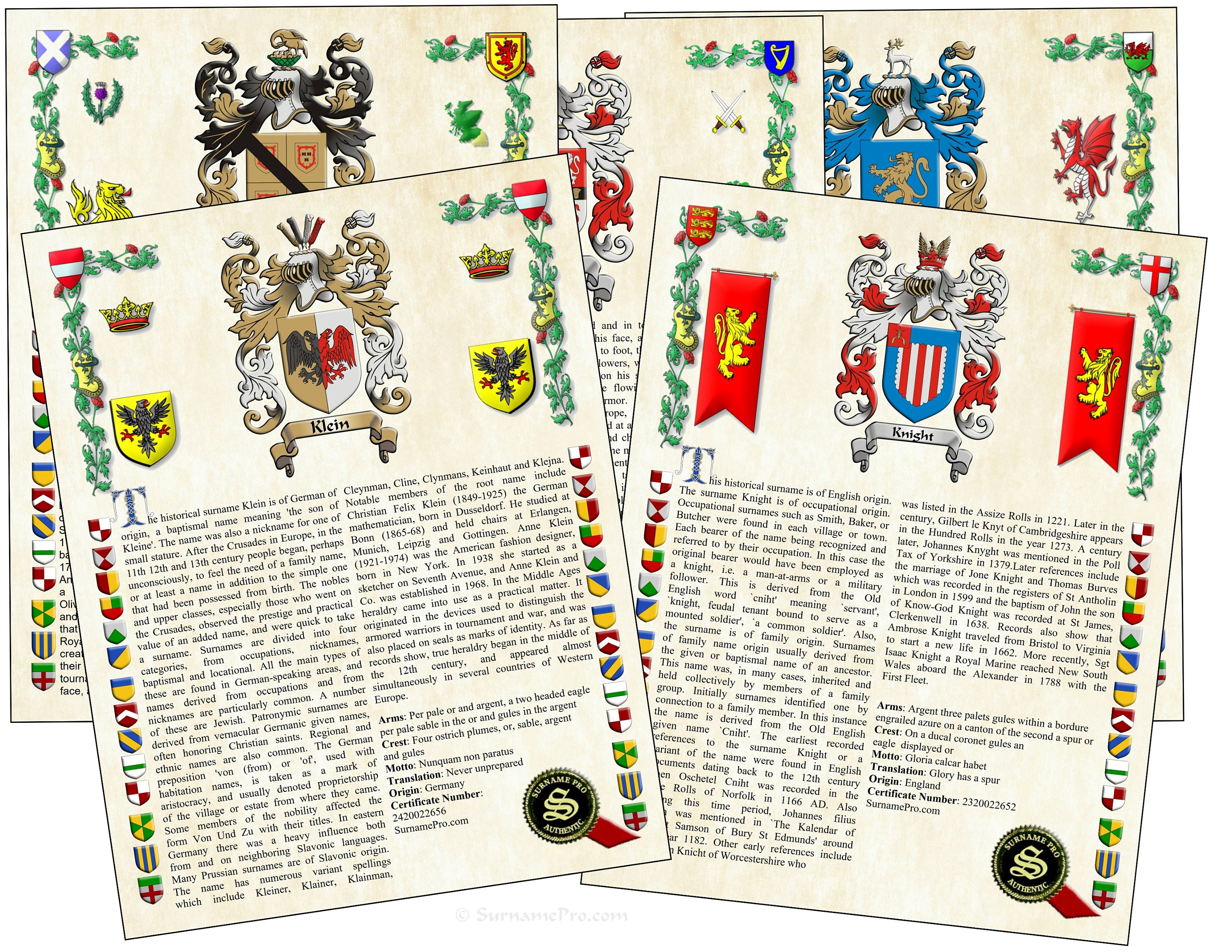 Family Name History Print With Coat of Arms & Surname Origin - Etsy