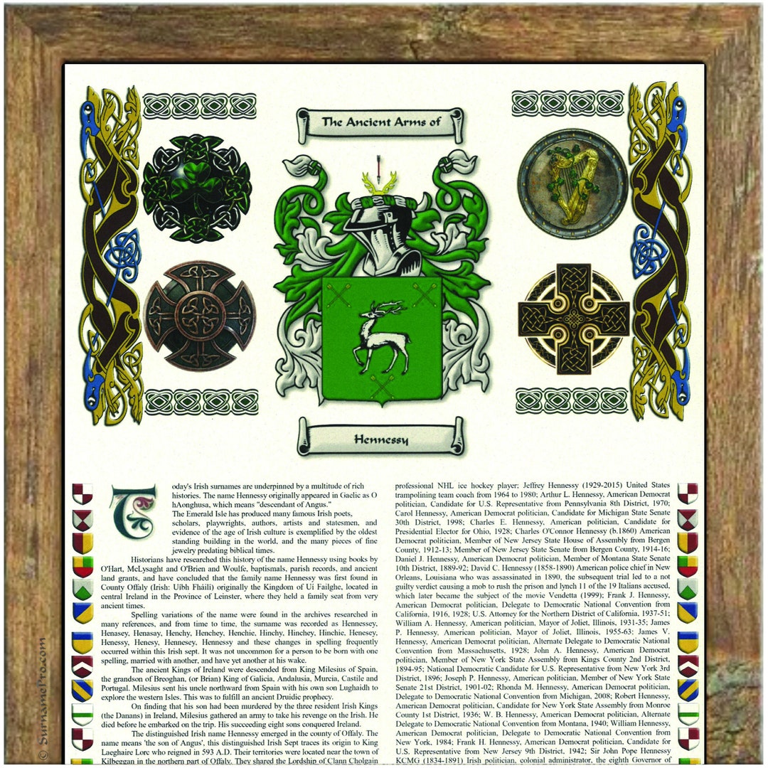 Irish Surname History and Family Crest Coat of Arms - Etsy