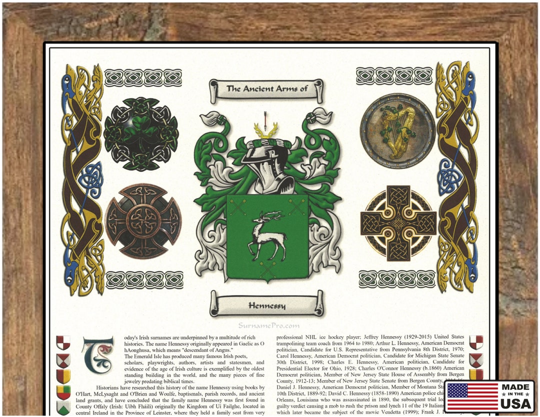 Irish Surname History and Family Crest Coat of Arms - Etsy