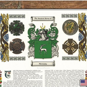 Irish Surname History and Family Crest Coat of Arms - Etsy