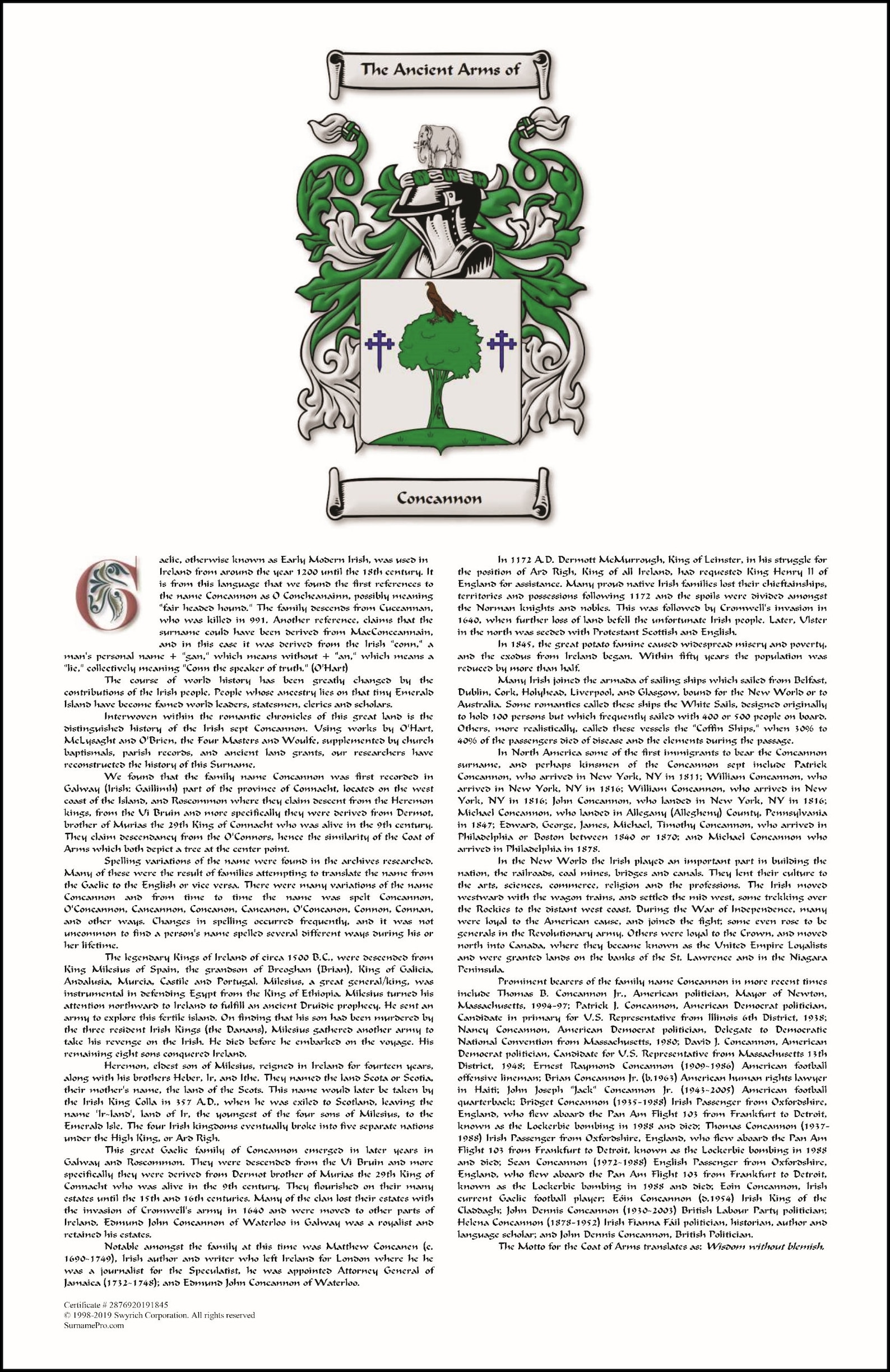 Prestige Coat of Arms Family Crest and Surname History With | Etsy