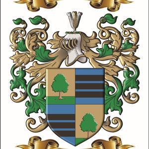 Custom Personalized Family Name Origin Coat of Arms and Crest Featuring ...