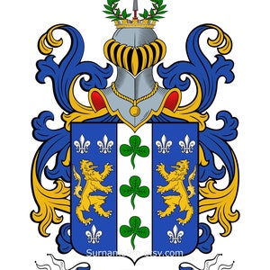 Personalized Family Coat of Arms: Custom Heraldry Crest (PDF, JPG, PNG ...
