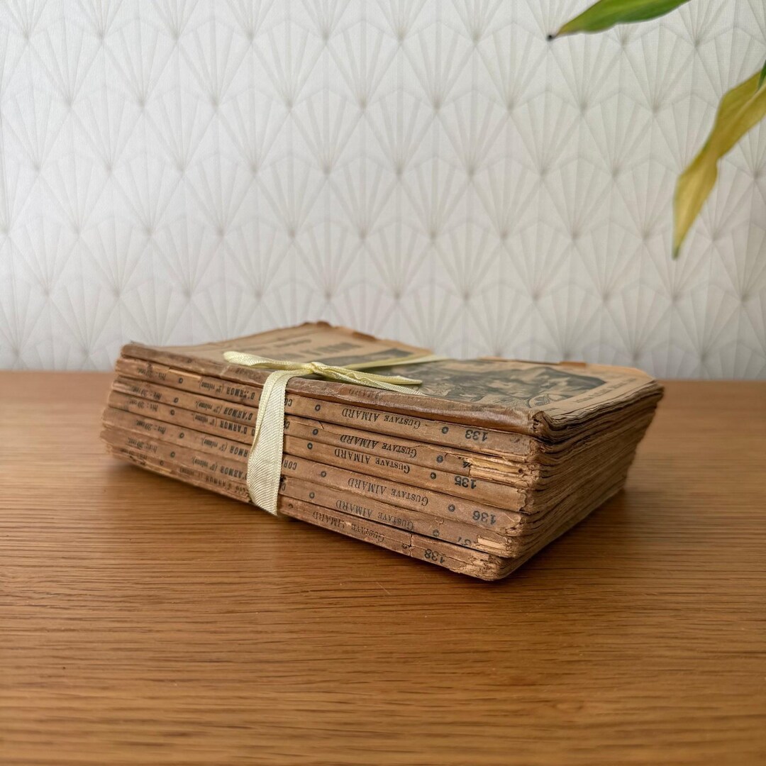 Collection of Old French Books Decoration 0309252 - Etsy