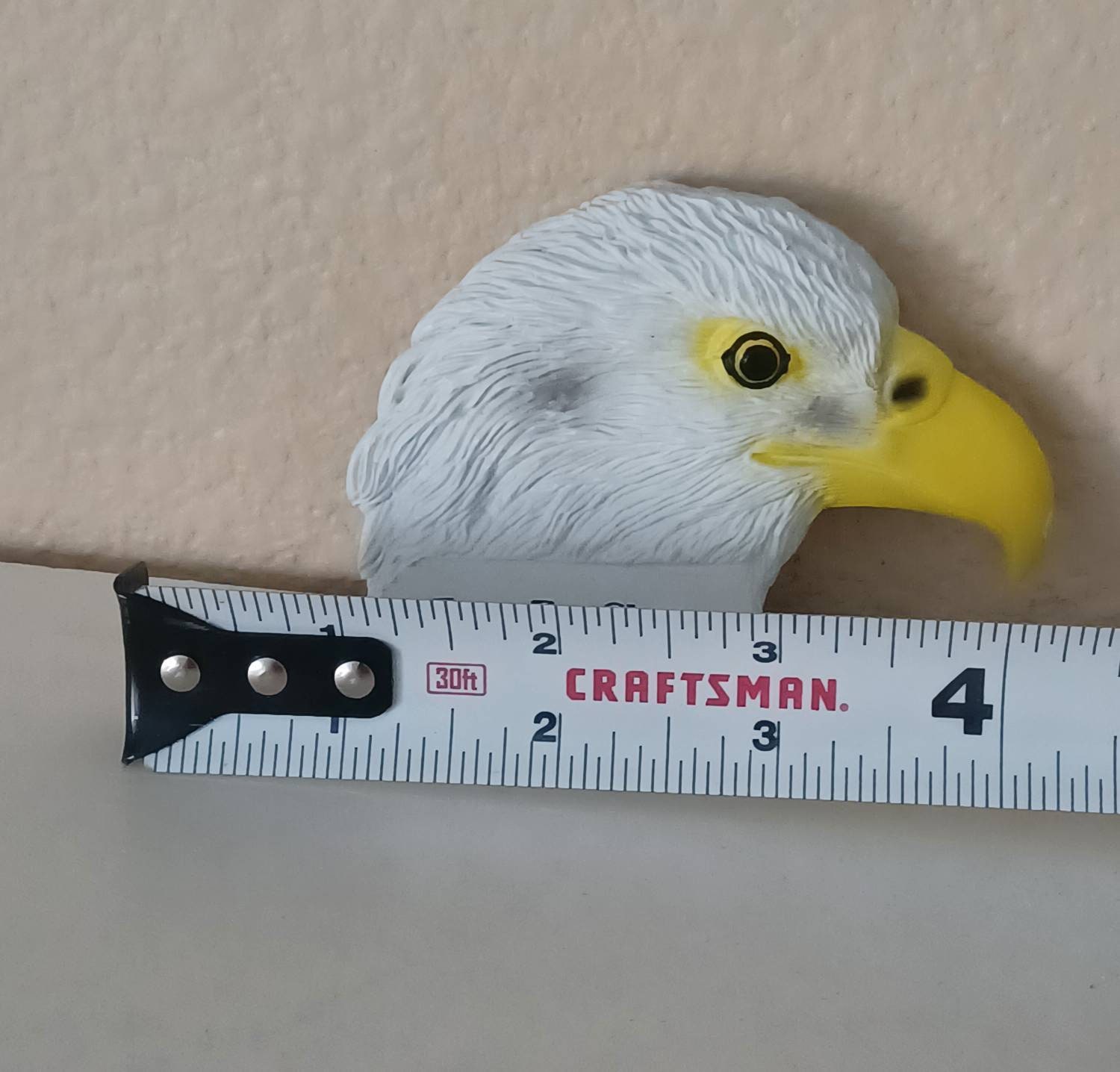 Kitchen & Dining Refrigerator Magnets Bald Eagle Bass Pro Shops ...