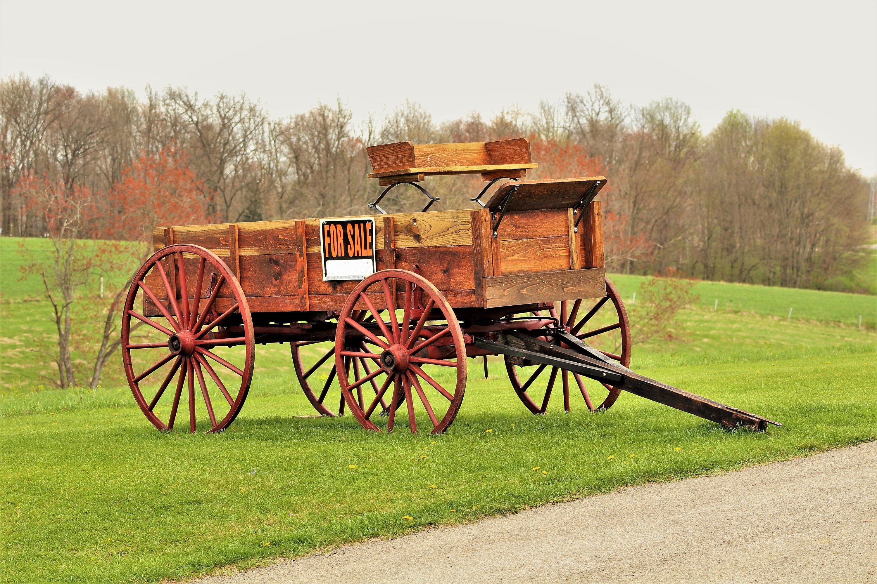 Digital Photo - Buckboard Wagon - Etsy
