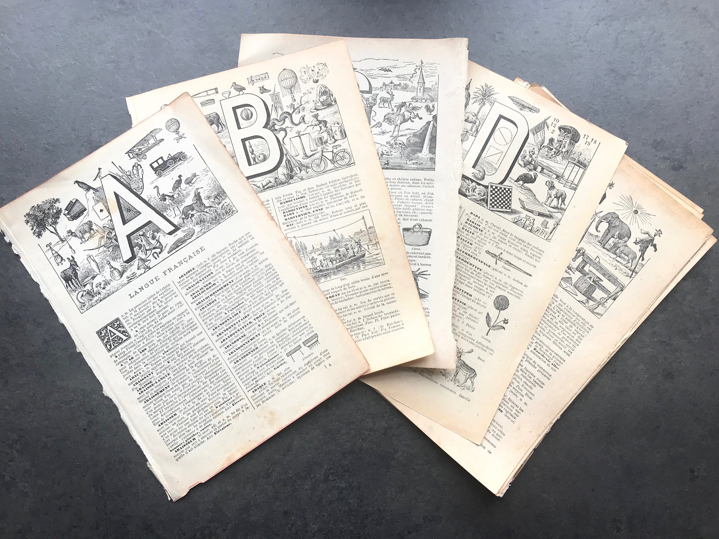 Papercraft Paper Antique 1907 French Dictionary 24 Letter Alphabet ...